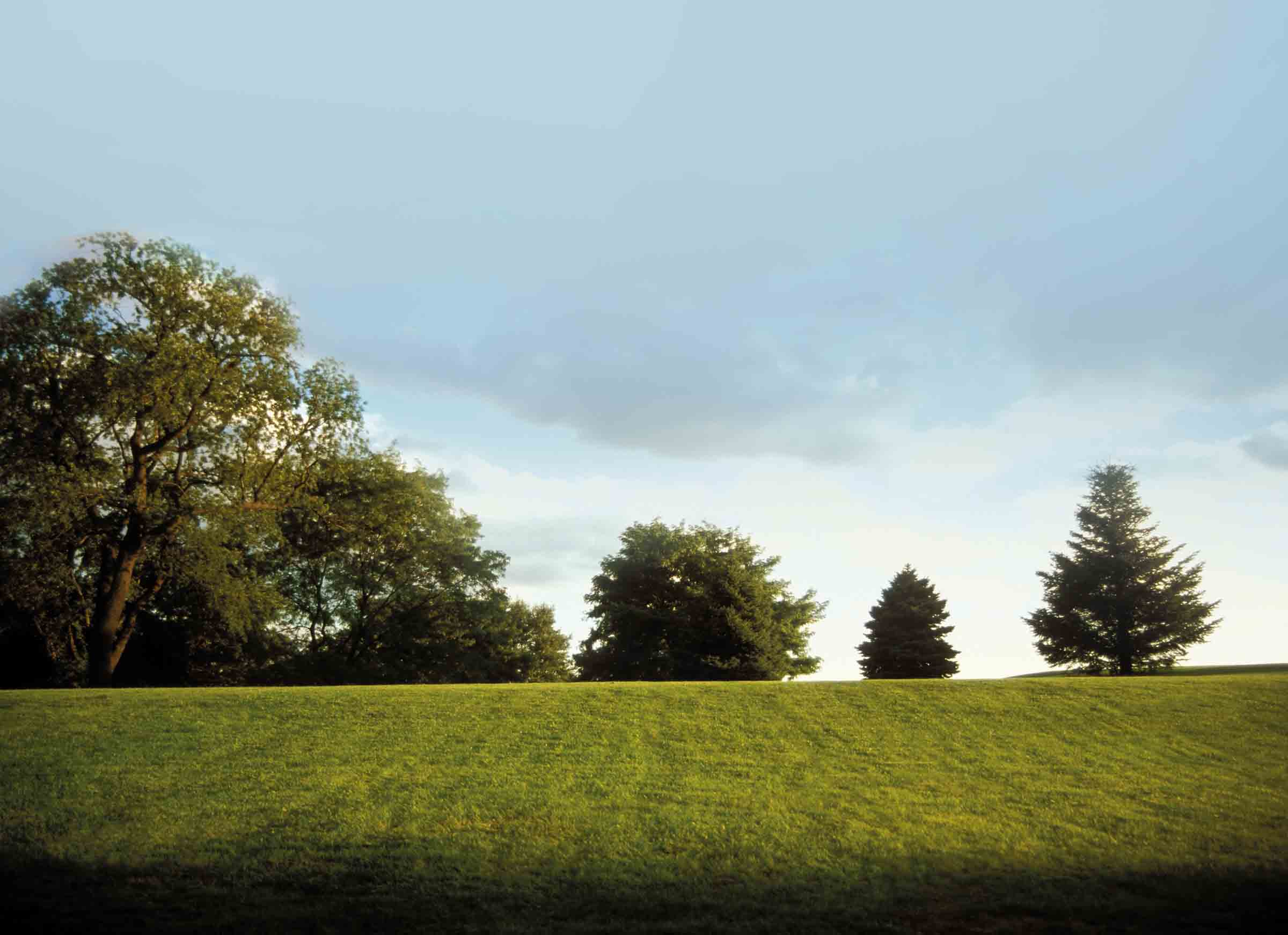 The benefits of community greenspace | Government Business